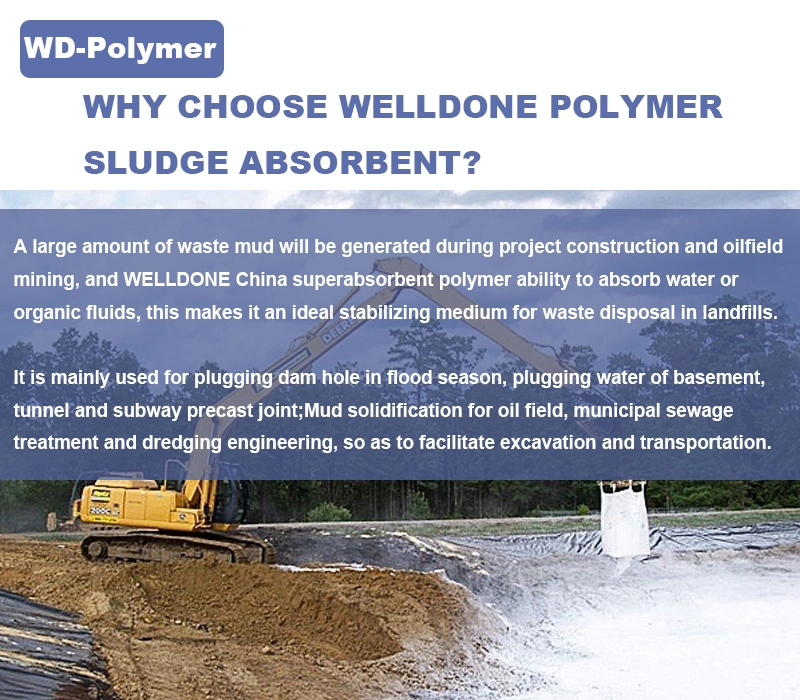 China Manufacture Super Absorbent Polymer Sodium Polyacrylate for ...