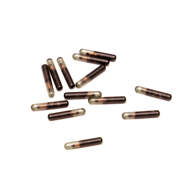 RFID Tag Tracking Microchips Implant For Animal