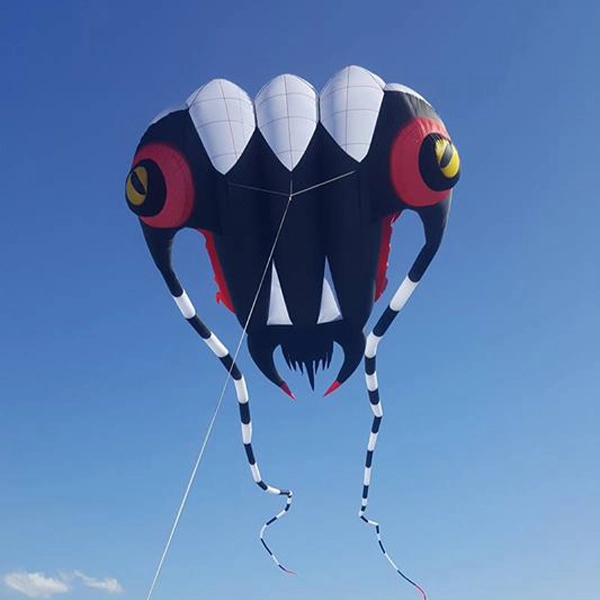 32 SQM trilobite pilot kite from kite factory