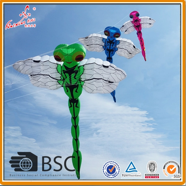 Large inflatable dragon fly kite from kite factory
